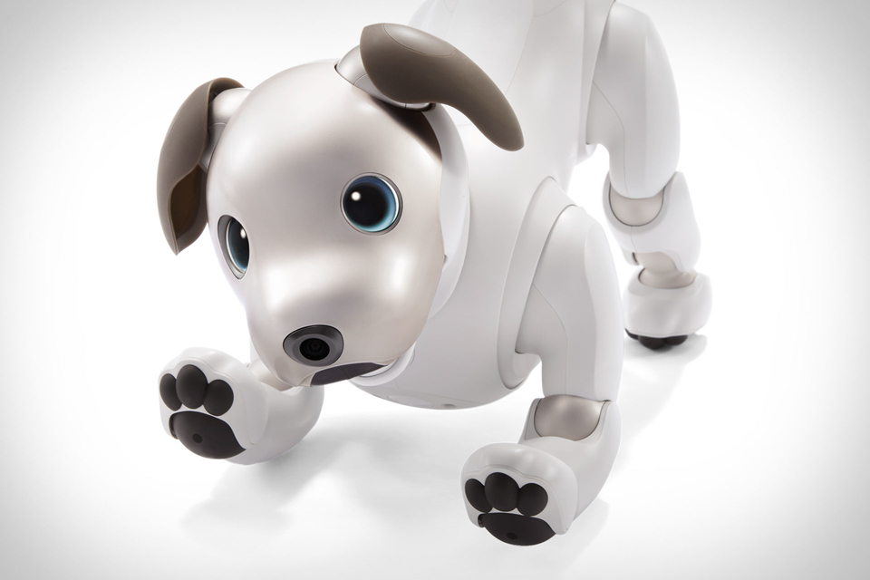 Robot de Entretenimiento Sony Aibo | Uncrate