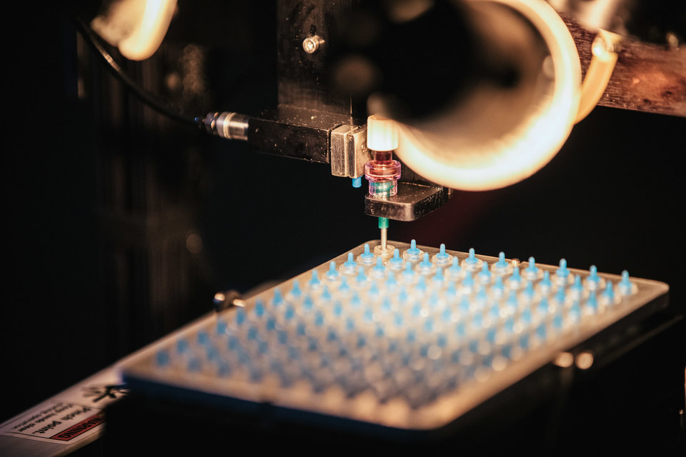 Process: Bloom Farms | Uncrate