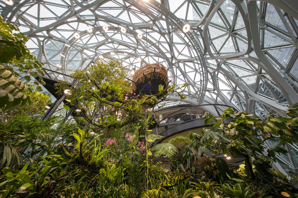 Amazon Spheres | Uncrate