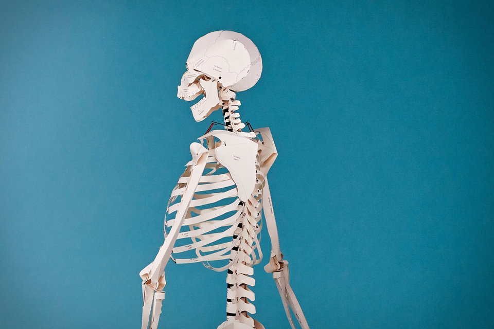 Build Your Own Skeleton | Uncrate