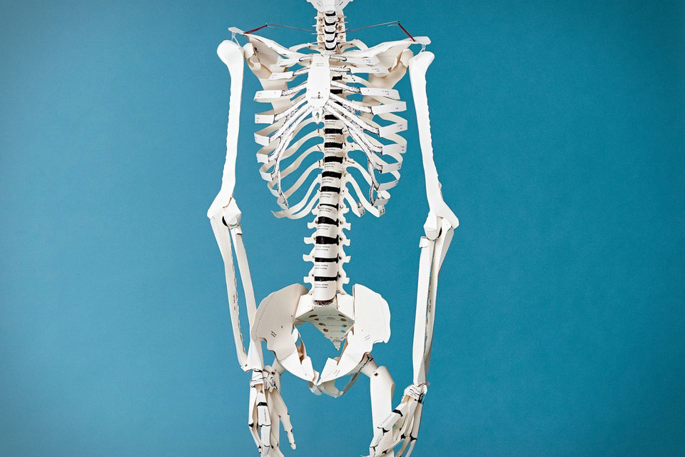 Build Your Own Skeleton | Uncrate
