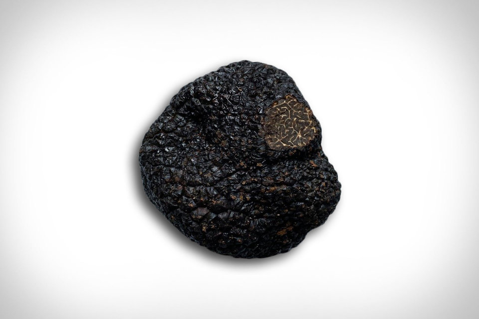 Black Perigord Truffle | Uncrate