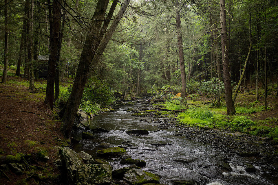 Beaver Brook | Uncrate