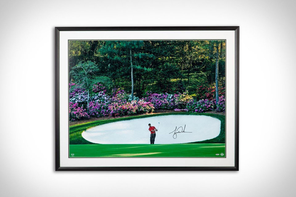 Tiger Woods Azalea Autographed Framed Print | Uncrate