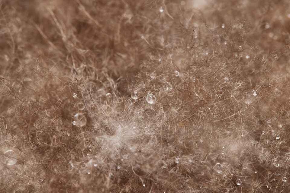 Vollebak Eiderdown Puffer Jacket | Uncrate