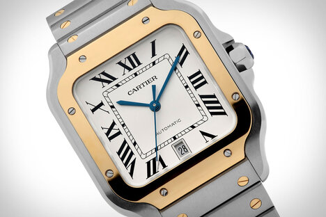 TSA Canine Adoption Program | Uncrate