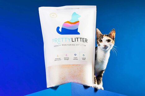 Astro Elroy Passenger Drone | Uncrate