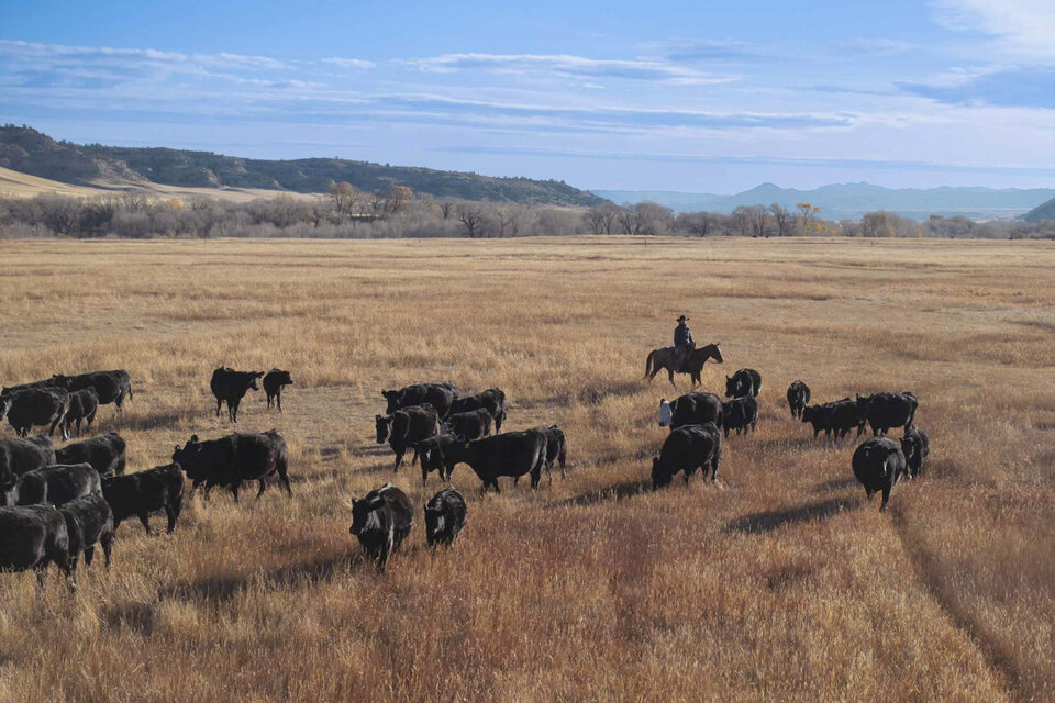 Pitchfork Ranch | Uncrate