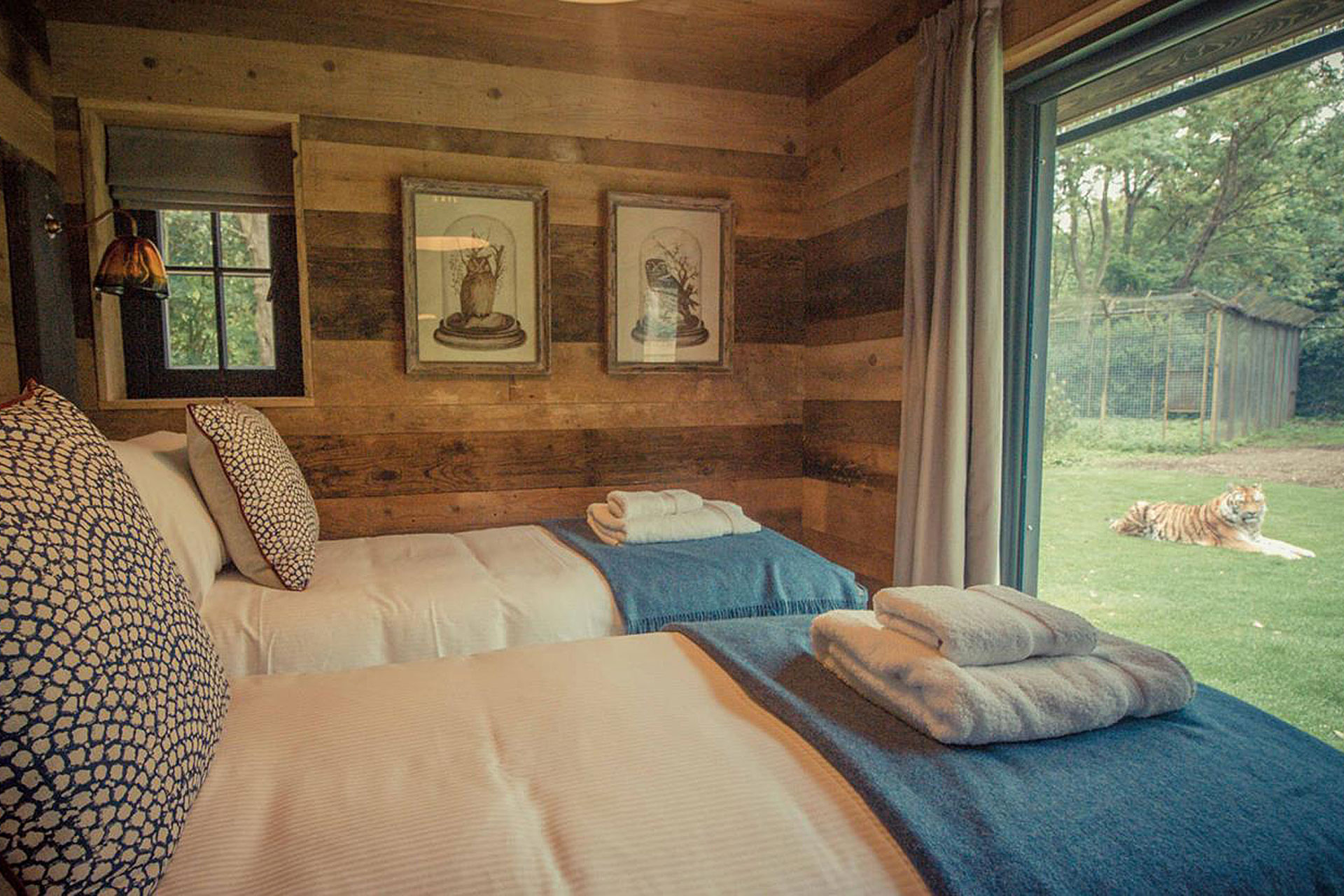 Tiger Lodge | Uncrate