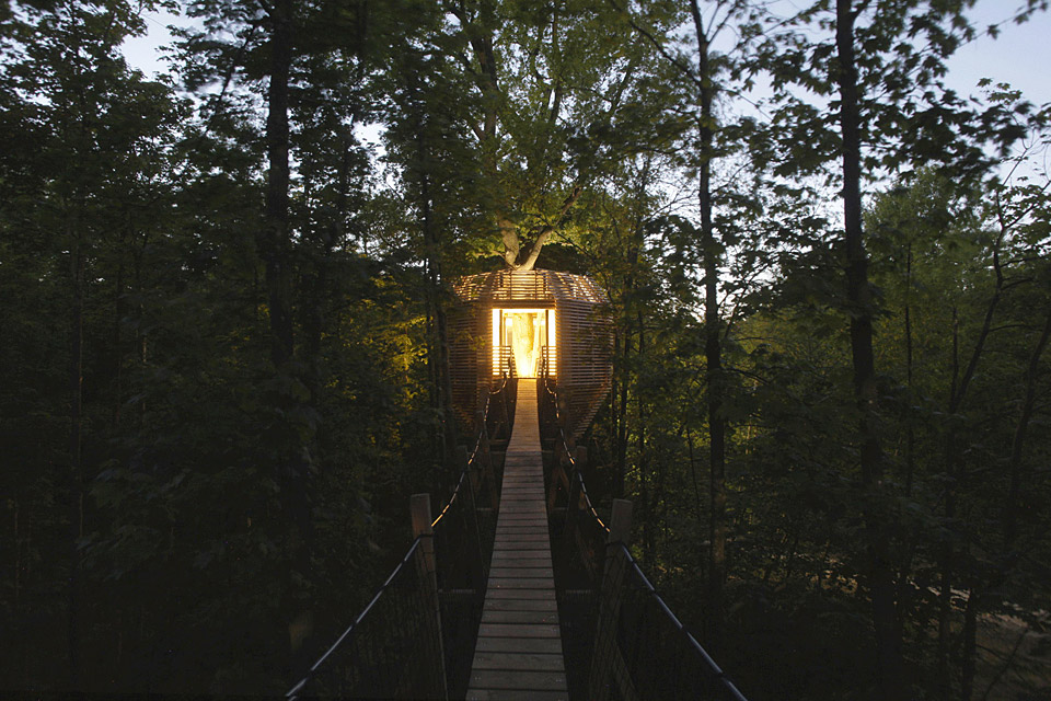 Casa Origin Tree | Uncrate