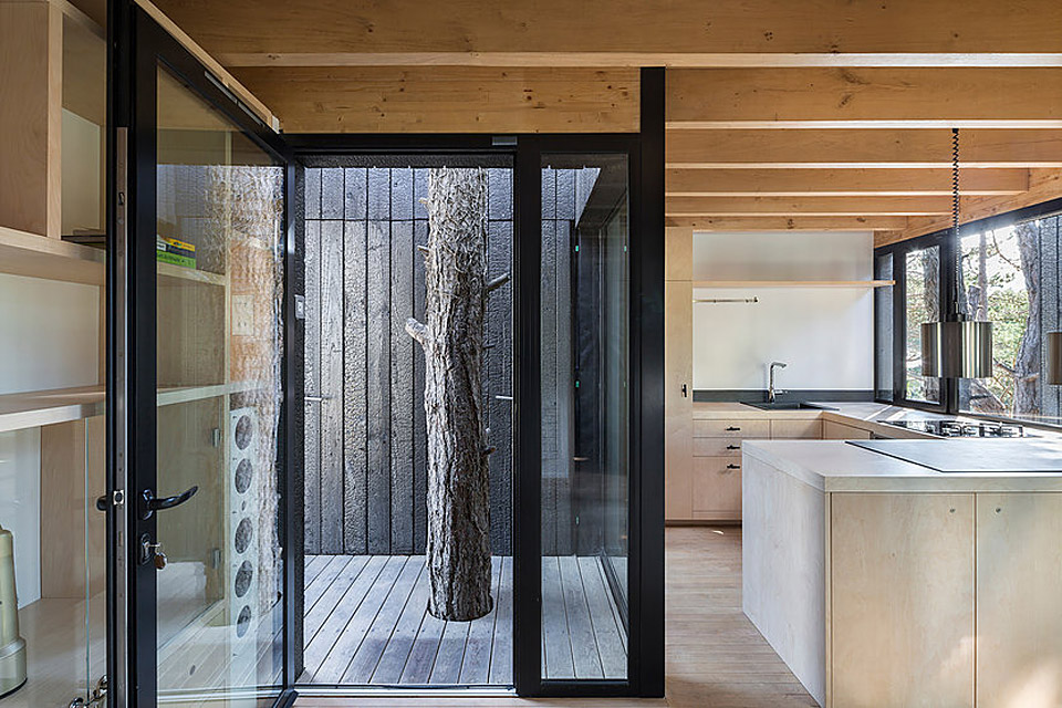 Cote d'Armour Treehouse | Uncrate