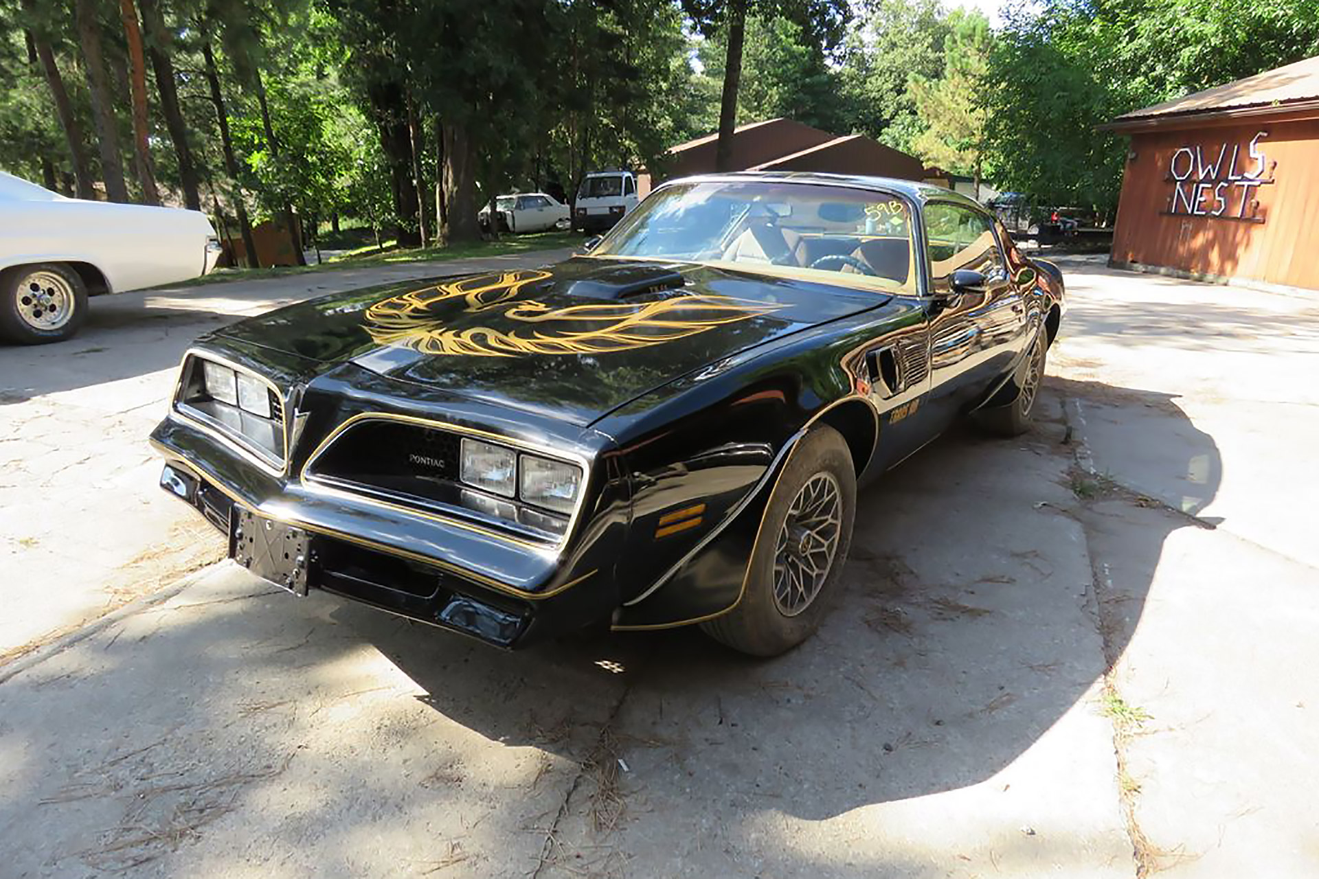 Coyote Johnson Muscle Car Collection | Uncrate