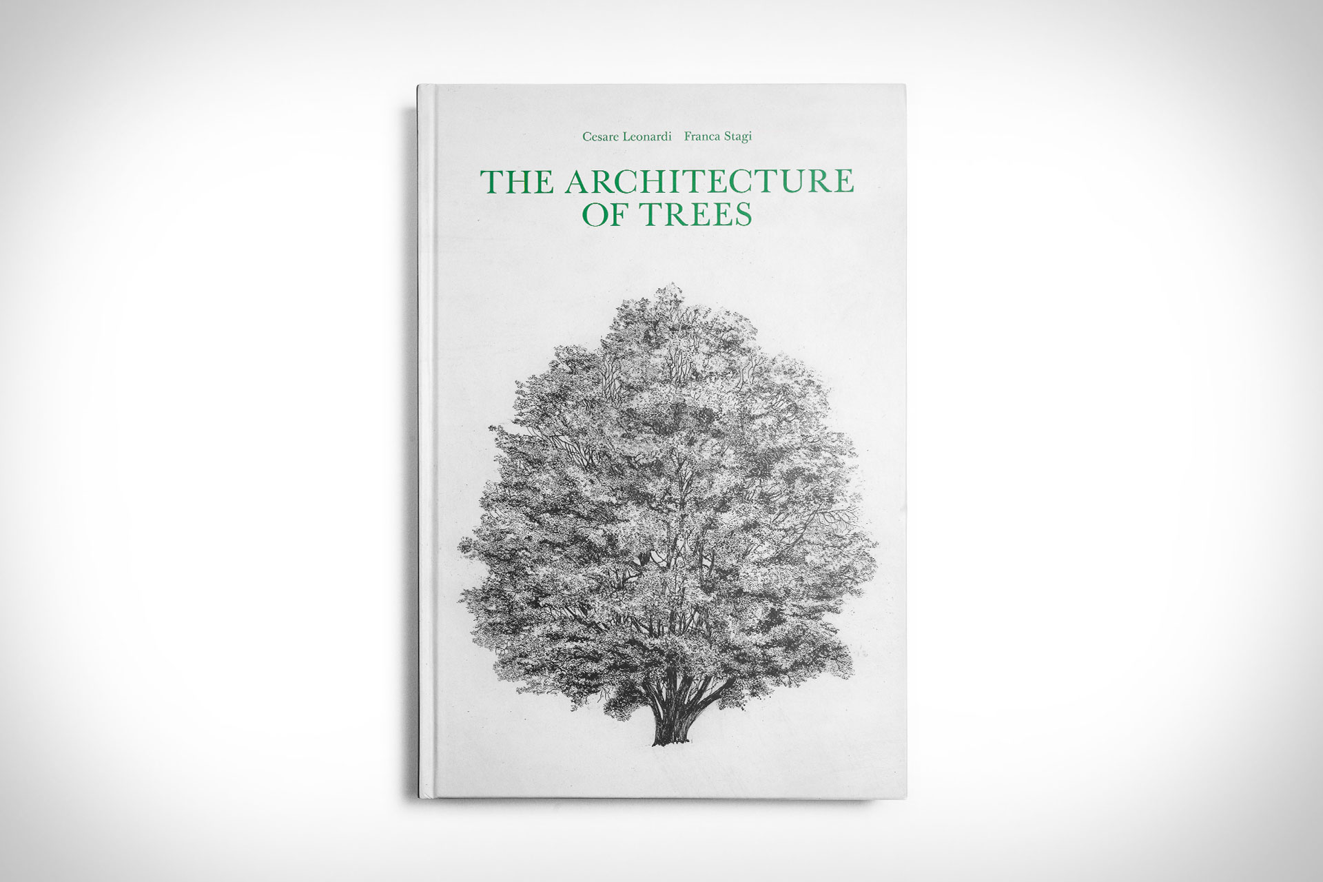 The Architecture of Trees | Uncrate