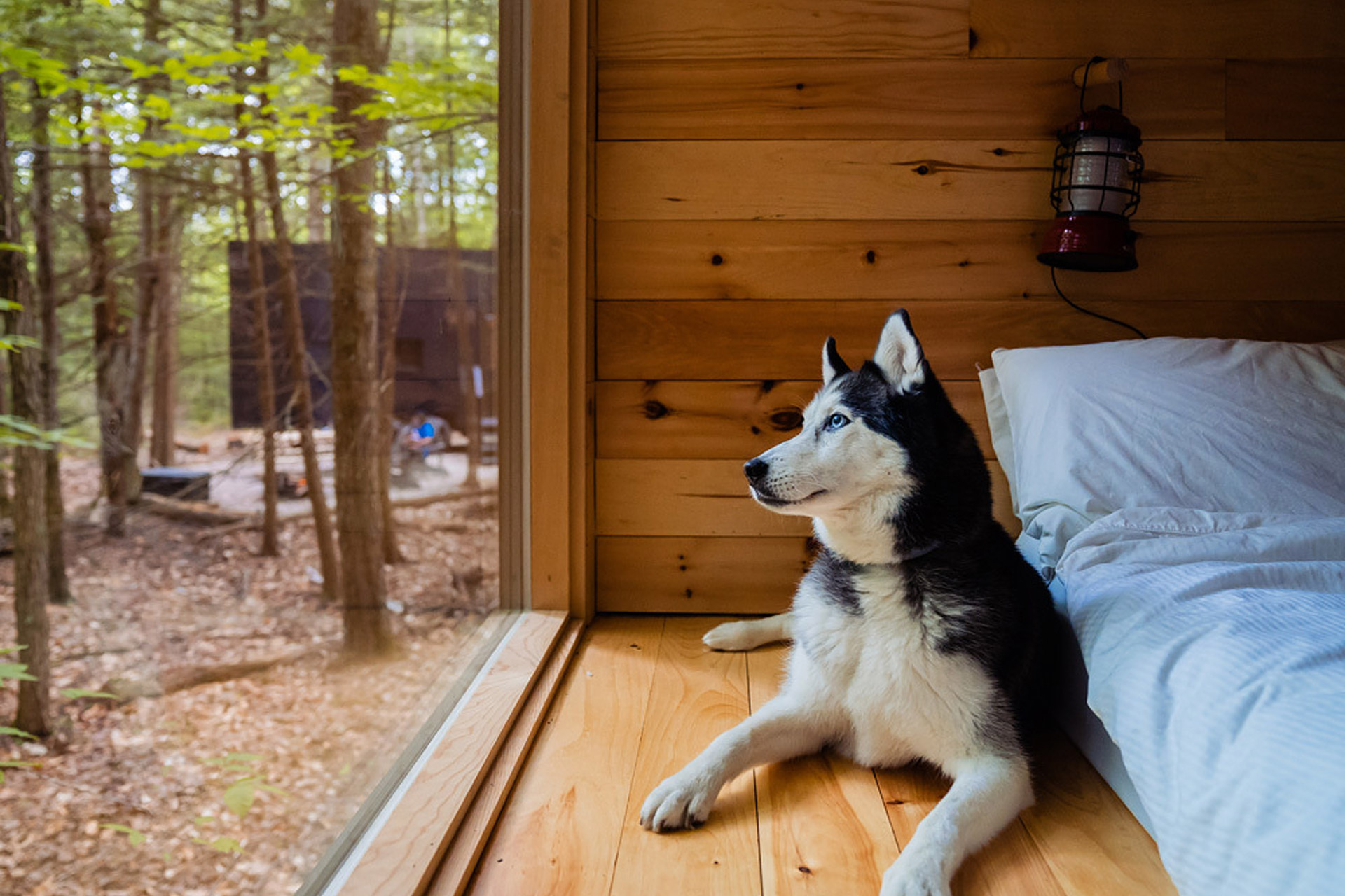 Getaway Hill Country Cabins | Uncrate