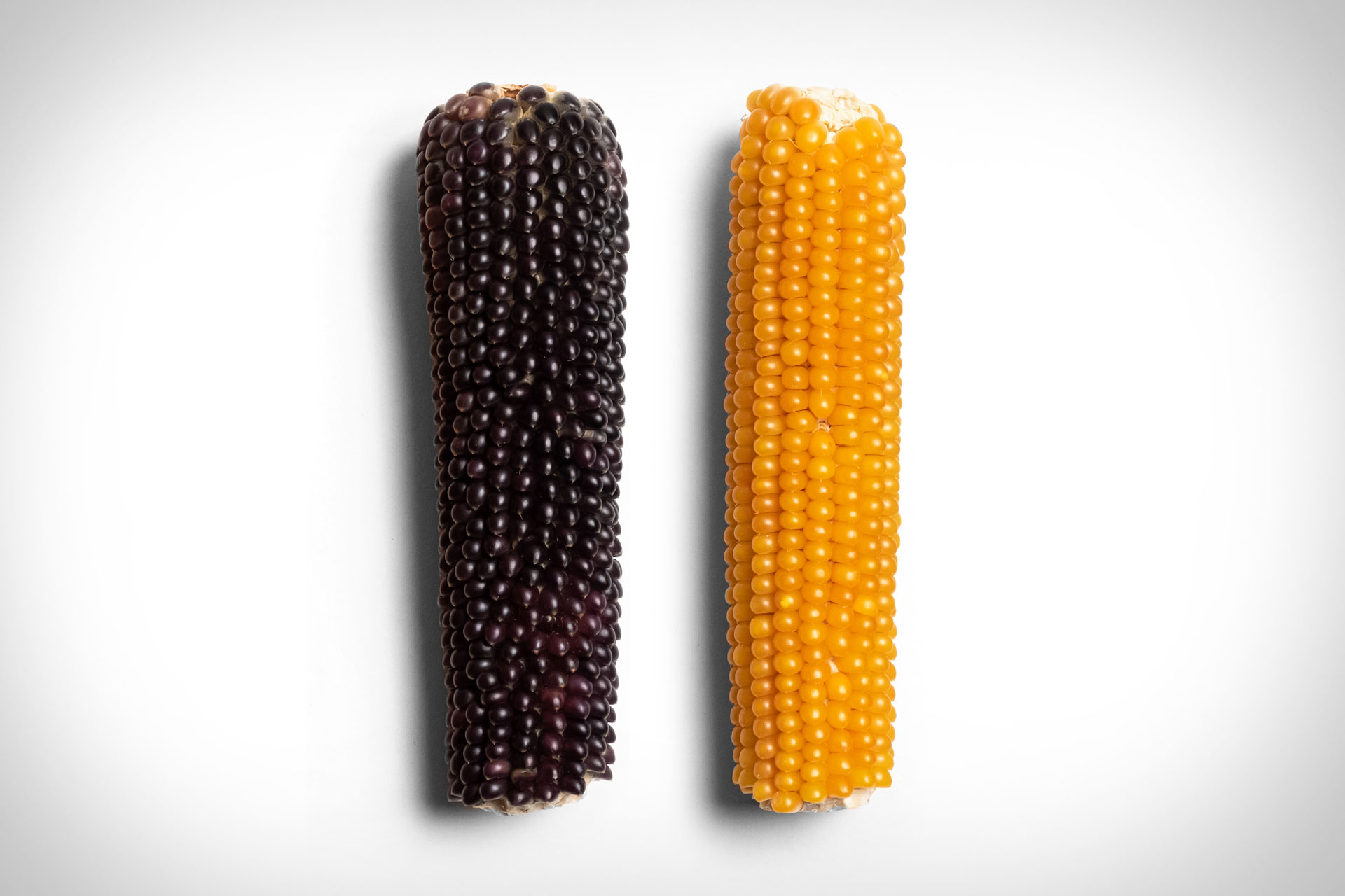 Popcorn on the Cob | Uncrate