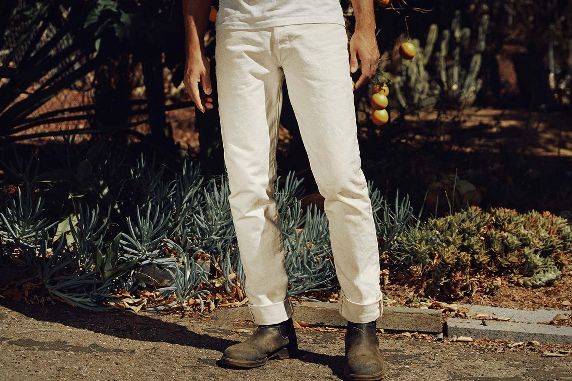 Imogene Willie Discount Code