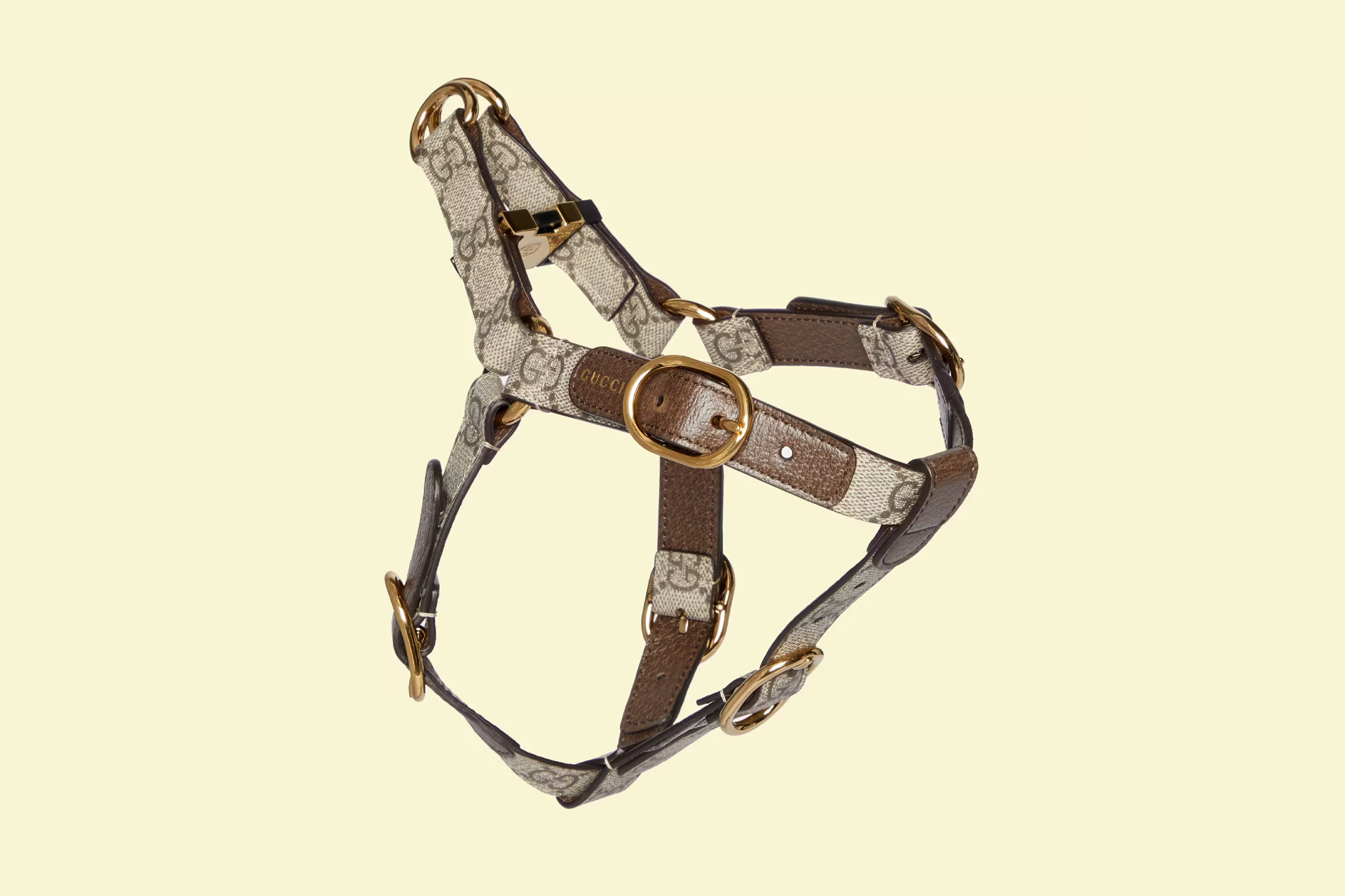 Gucci Pet Collection | Uncrate