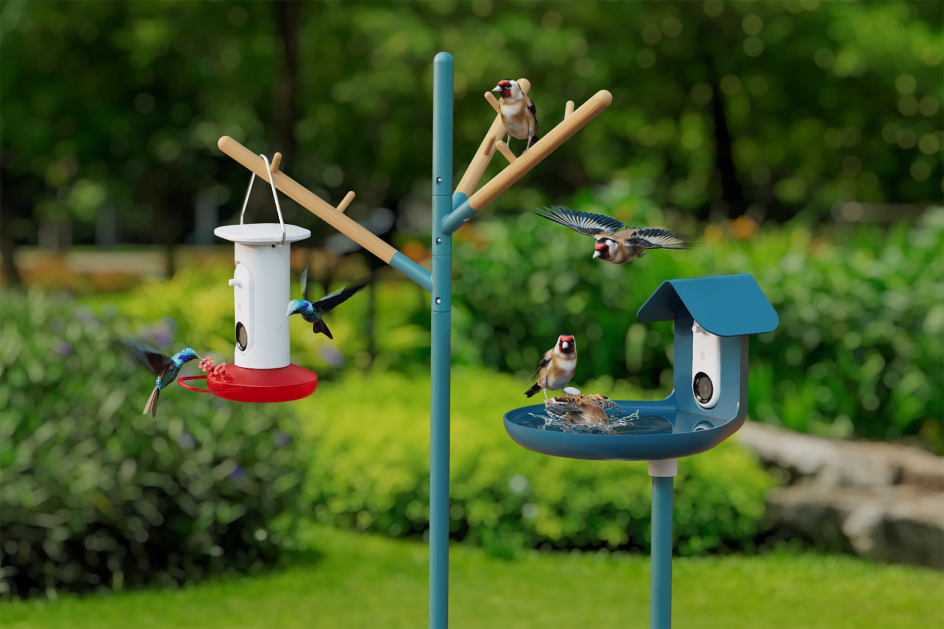 Bird Buddy Uncrate Bird Buddy Uncrate