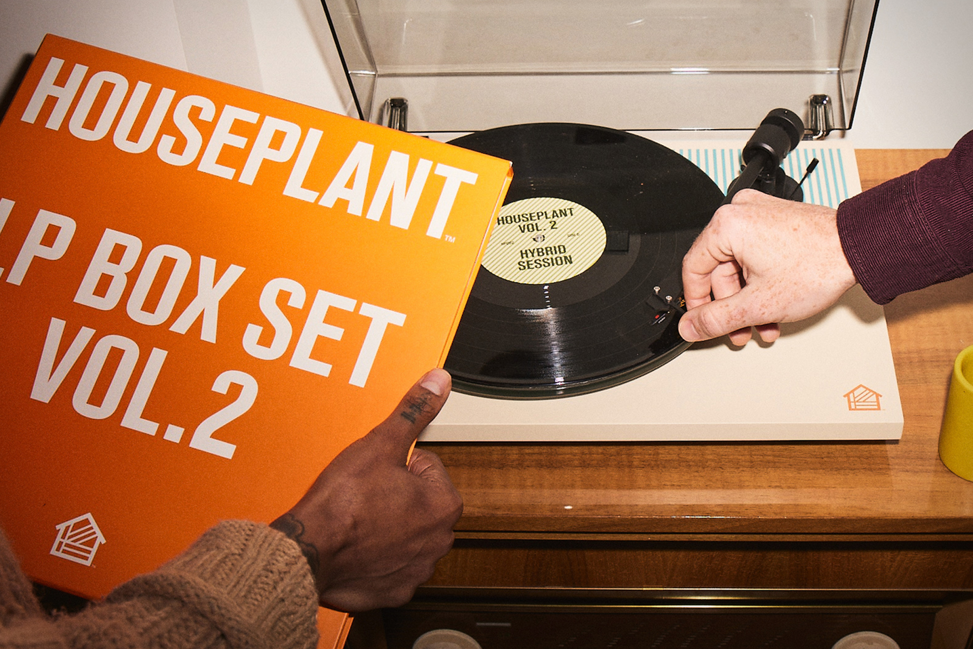 観葉植物ビニールボックスセット Vol. 2 | Uncrate