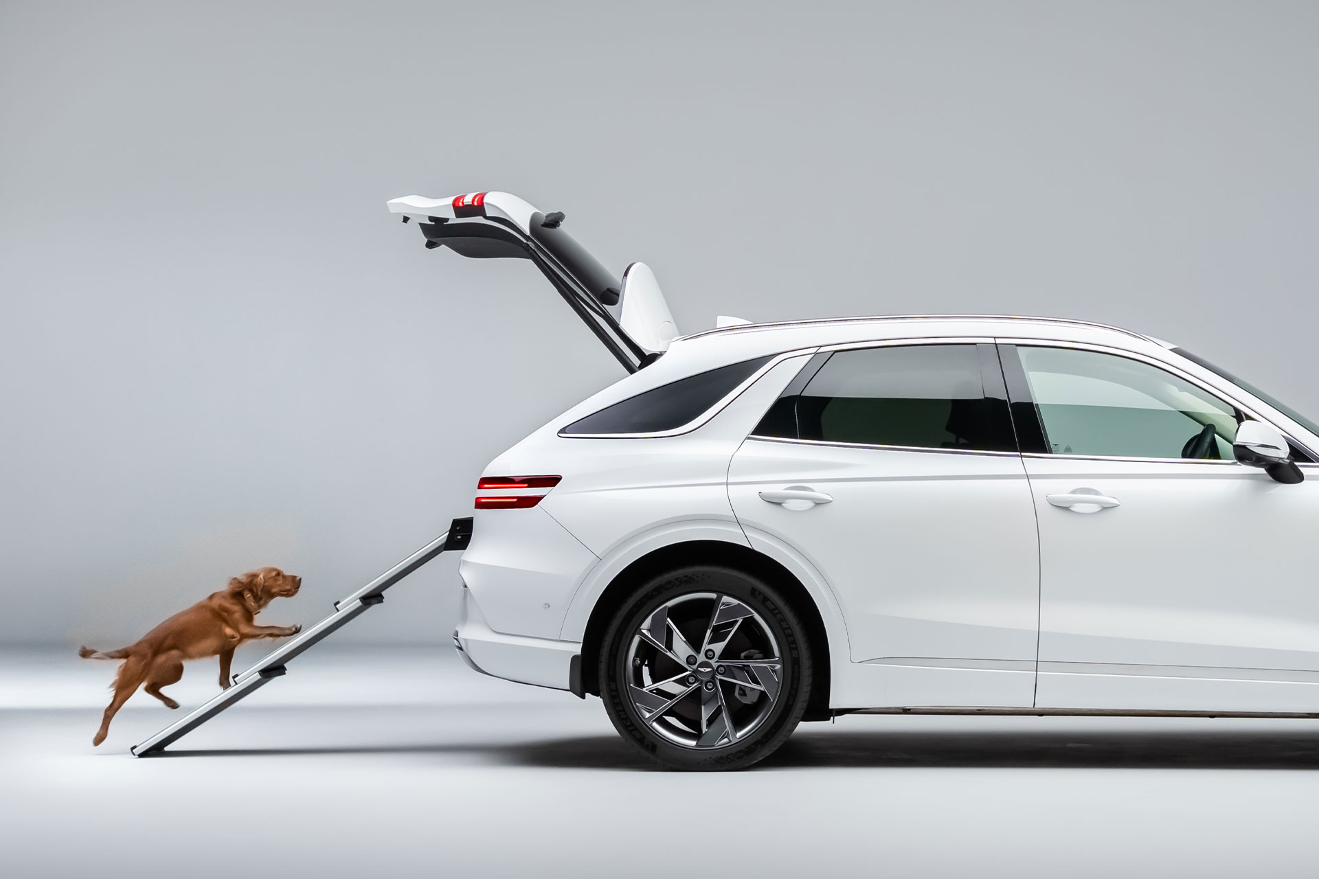 Genesis X Dog Concept | Uncrate